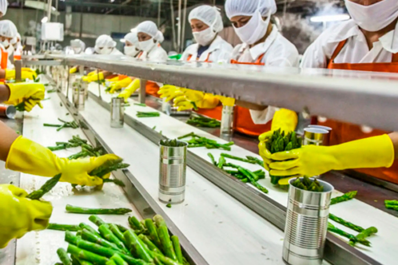 Detergente líquido multi enzimático Klisol ECO by Proquimia • ilser grup